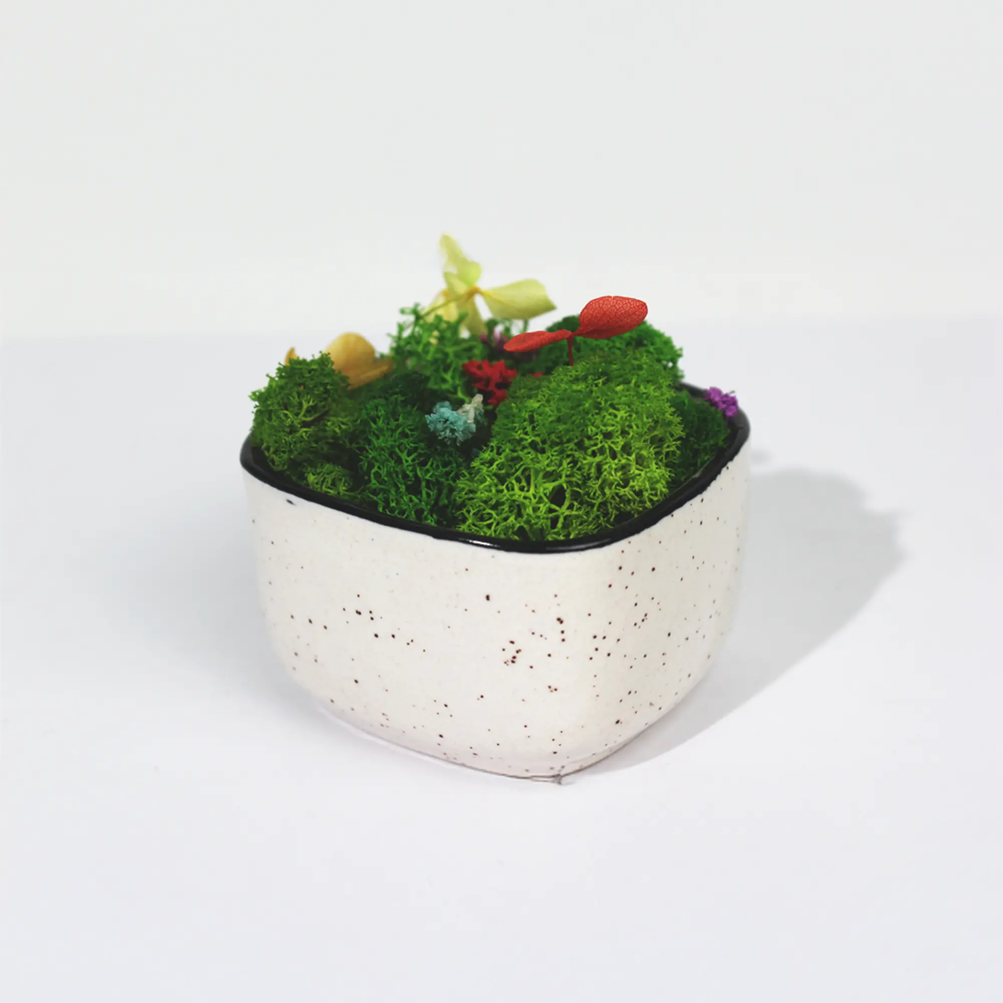 Ceramic Forest Bowl